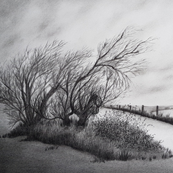 kate steele, artist and printmaket